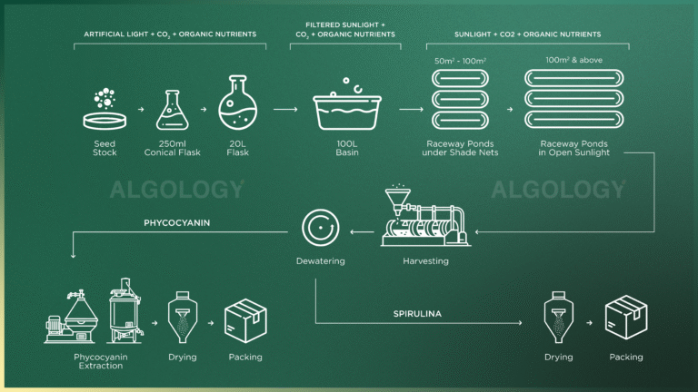 Our Process – Algology